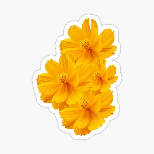 "Yellow Flower " Sticker for Sale by botanica-plus | Redbubble