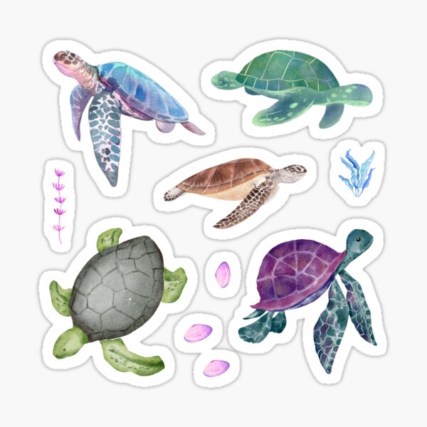 "Watercolor Sea Turtle Sticker Pack | 5 Turtles Stickers Set" Sticker ...