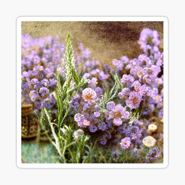 Lavender Field Sticker For Sale By Twnty Nine Redbubble
