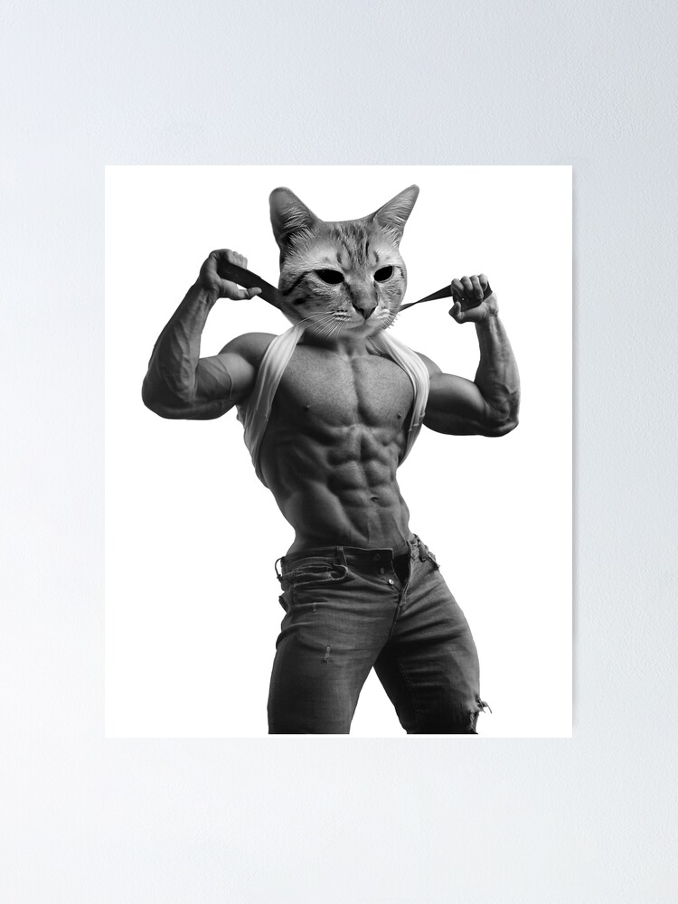 Póster «Gato GigaChad» de lailacdream | Redbubble