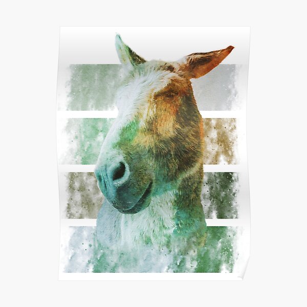 "Colorful Donkey" Poster for Sale by CritterSticker | Redbubble
