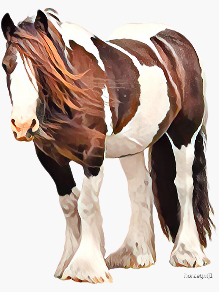 "Gypsy Vanner: A Fine Feathered Friend" Sticker for Sale by horseymj1 ...
