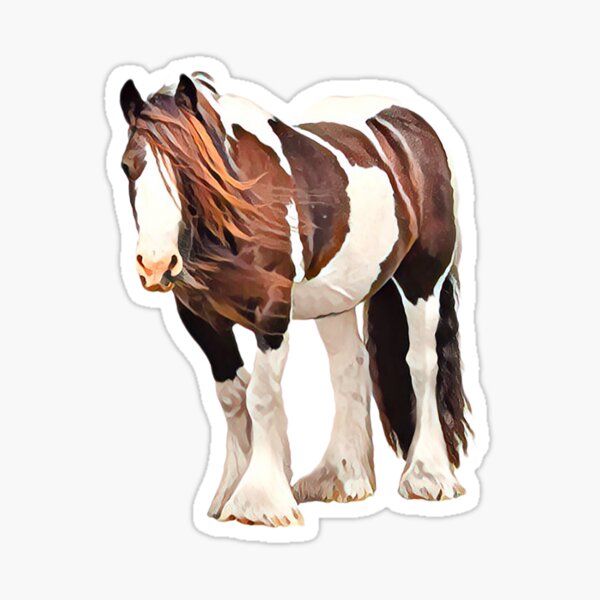 "Gypsy Vanner: A Fine Feathered Friend" Sticker for Sale by horseymj1 ...