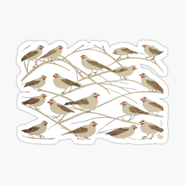 "Sparrows Reclining on Branches - Transparent Digital Art by JediNeil ...