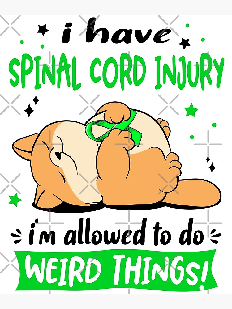 Funny Spinal Cord Injury Funny Sloth I Have Spinal Cord Injury I'm