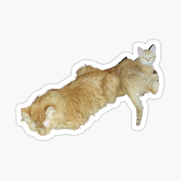 "Two-Headed Ginger Cate Monster" Sticker for Sale by ellesie99 | Redbubble