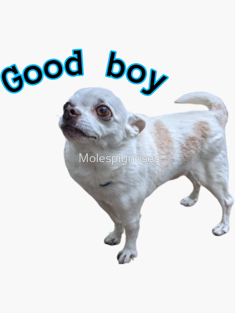 "Good boy " Sticker for Sale by Molespignoses | Redbubble