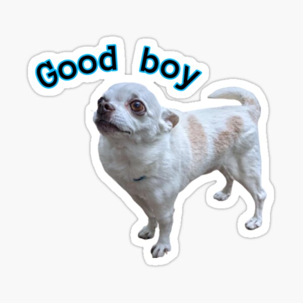 "Good boy " Sticker for Sale by Molespignoses | Redbubble