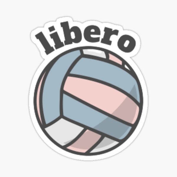 "libero volleyball position" Sticker for Sale by stainedauroras | Redbubble