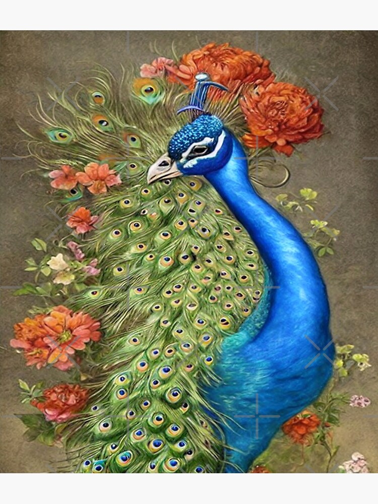 "Stylish Peacock" Poster for Sale by knurvs | Redbubble