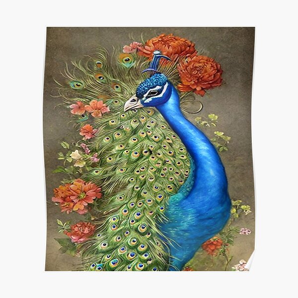 "Stylish Peacock" Poster for Sale by knurvs | Redbubble