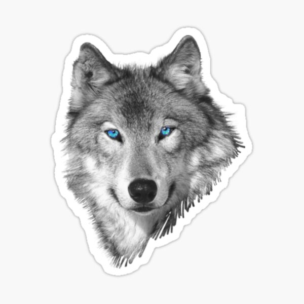 "Silver wolf FOTO design " Sticker for Sale by sreckov-desig | Redbubble