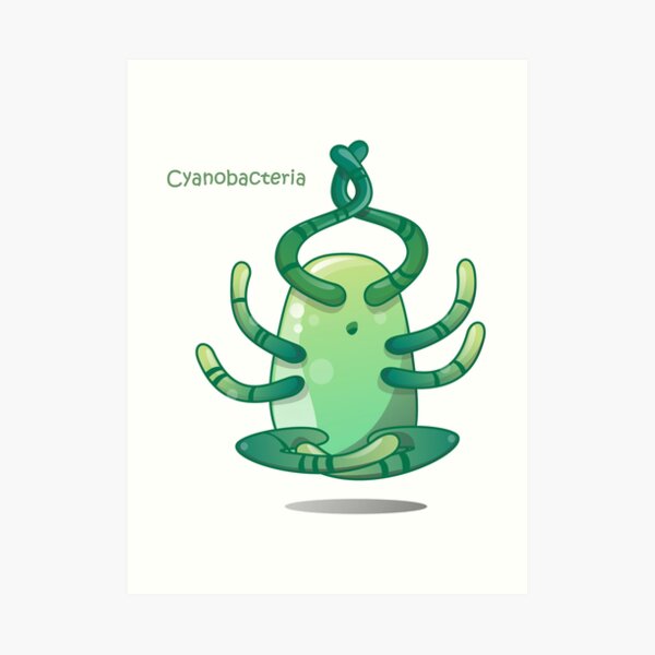 "cyanobacteria" Art Print by BiocraftLab | Redbubble