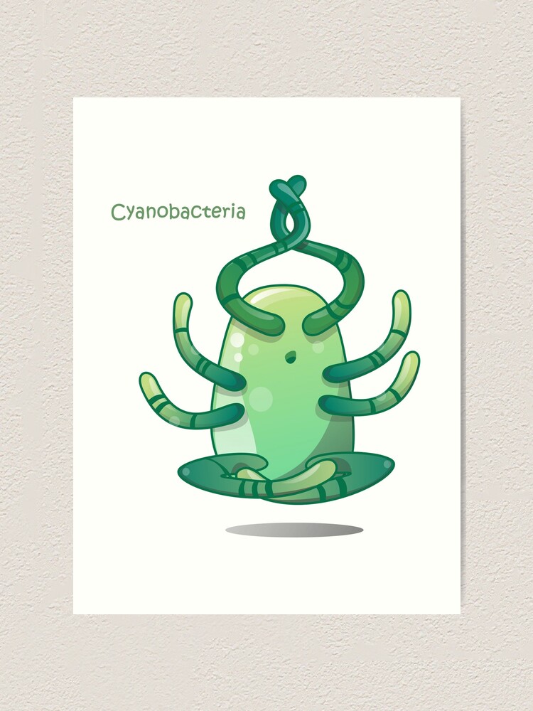 "cyanobacteria" Art Print by BiocraftLab | Redbubble