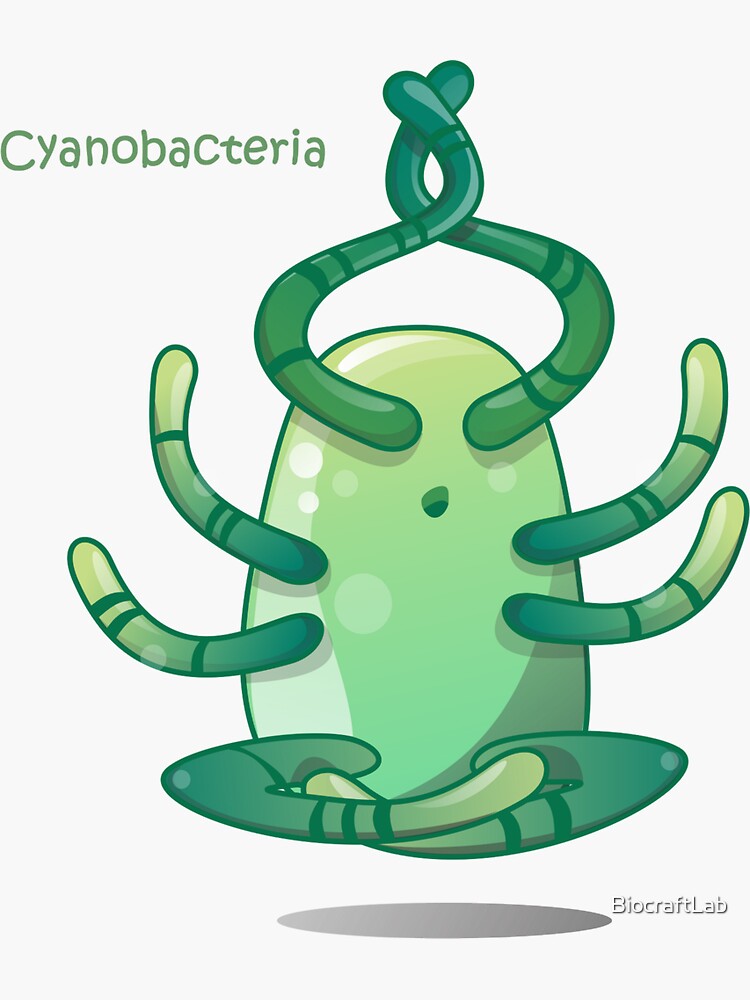 "cyanobacteria" Sticker for Sale by BiocraftLab | Redbubble