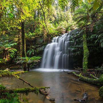 "Otways Rainforest Waterfall" Canvas Print for Sale by timmyvincent ...