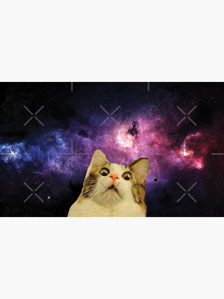 "Funny Cat in Space Meme T-Shirt " Sticker for Sale by heyitsmenaz ...