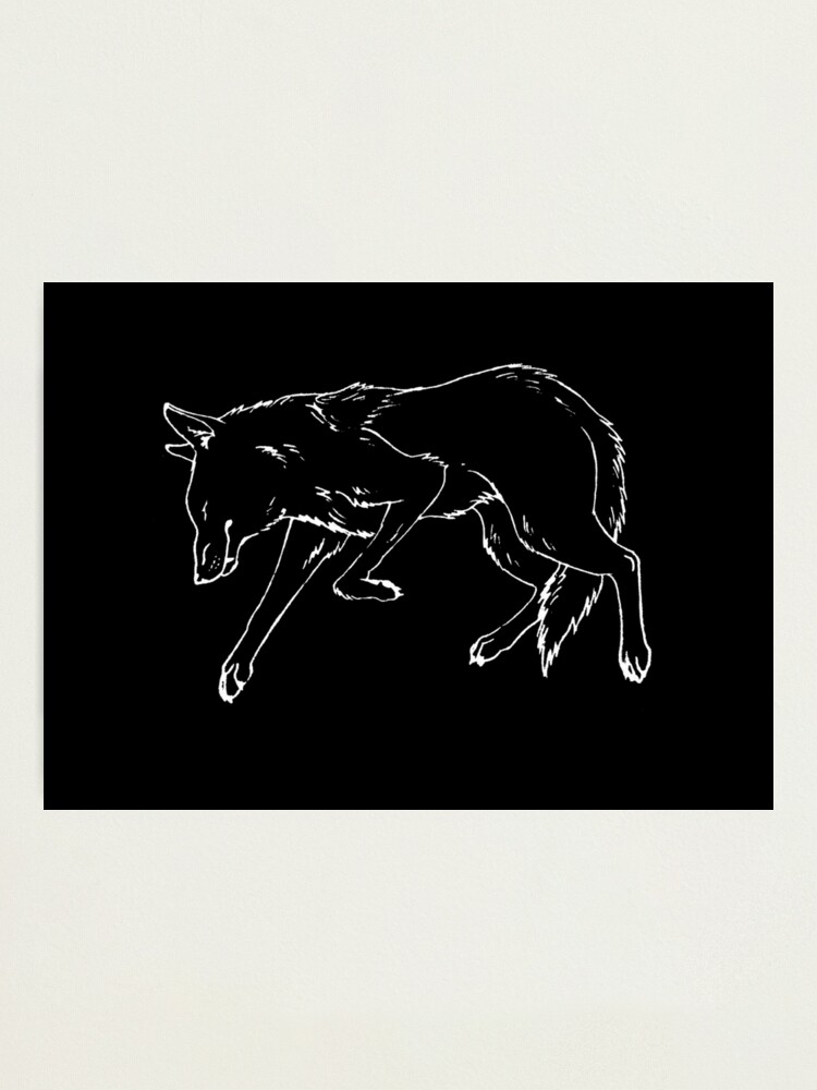 "Roadkill Coyote" Photographic Print for Sale by NaturePunk | Redbubble