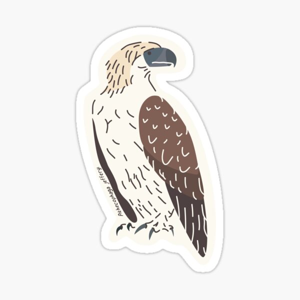 "Philippine Eagle" Sticker for Sale by craigsorono | Redbubble