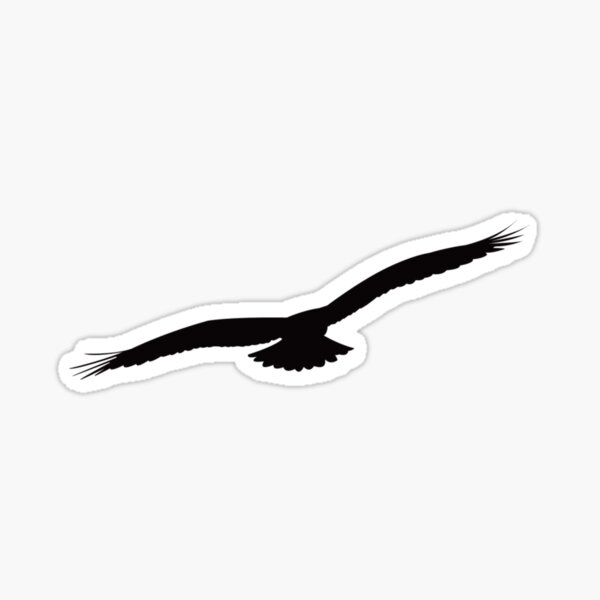 "Eagle series 023" Sticker for Sale by DavidDai | Redbubble