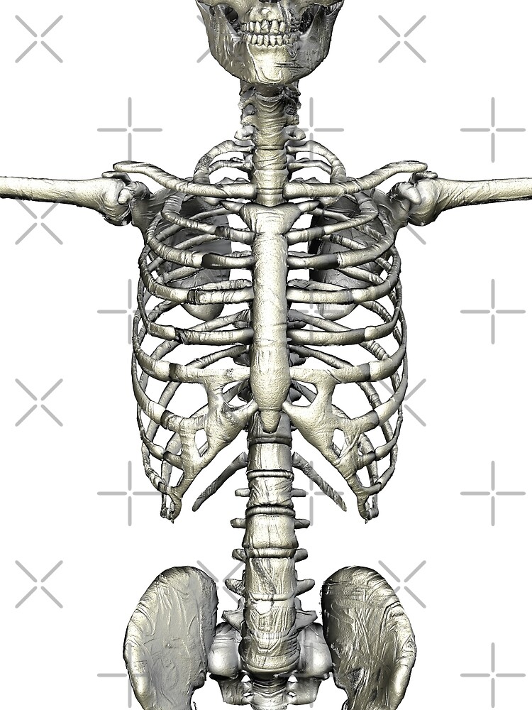 "Silver Bones" by Derya Çakırsoy | Redbubble