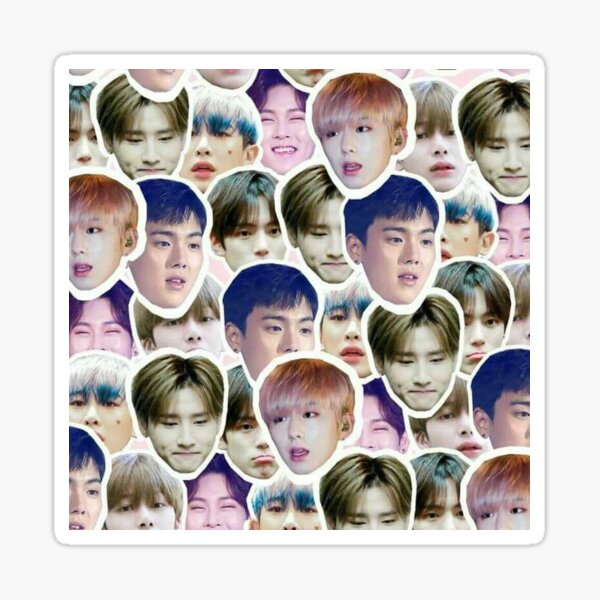 "idol meme face " Sticker for Sale by raghavalmalik | Redbubble