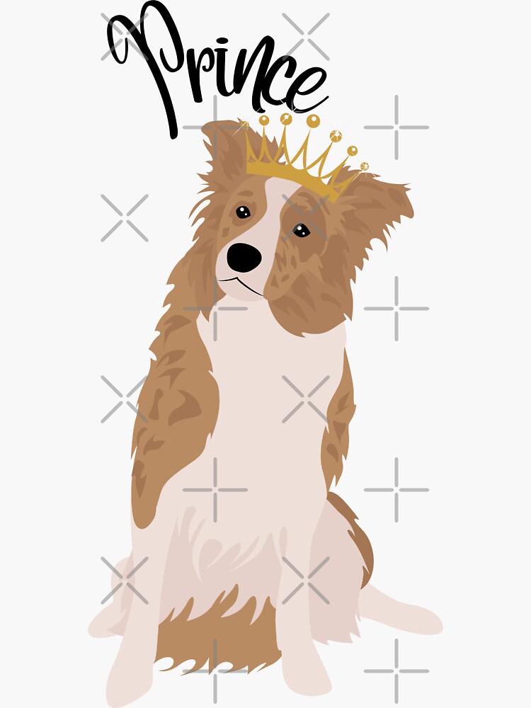 "Border Collie Gold Coat- Prince" Sticker for Sale by laurajune28 ...