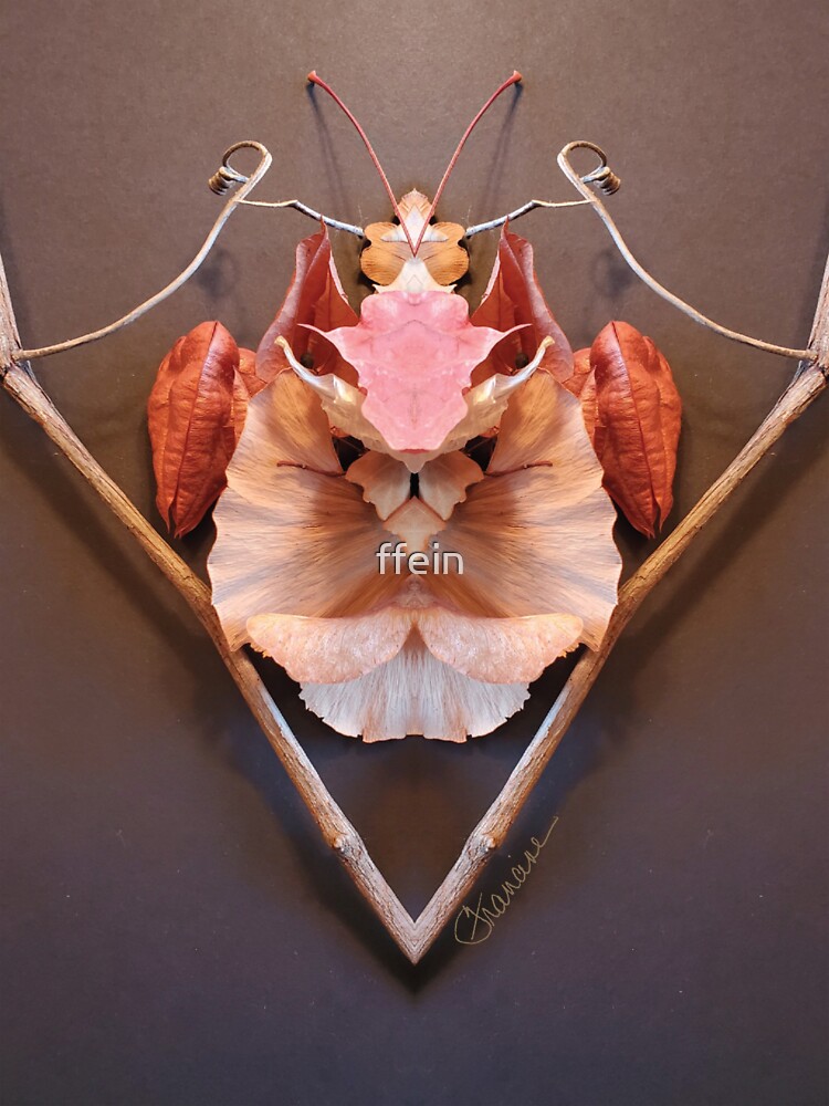 "Fall faces - Leaf Cat" Sticker for Sale by ffein | Redbubble