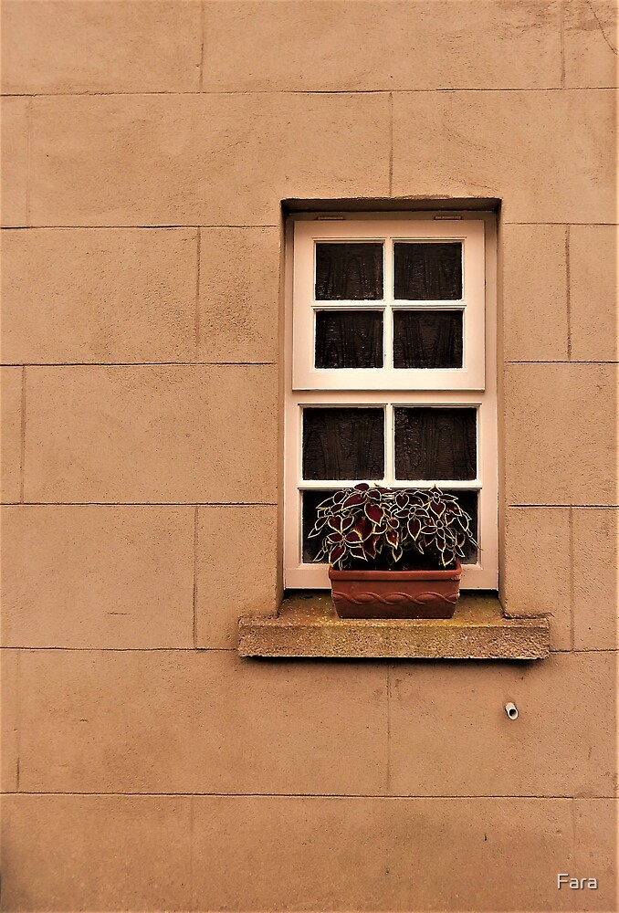"An Old School Window" by Fara | Redbubble