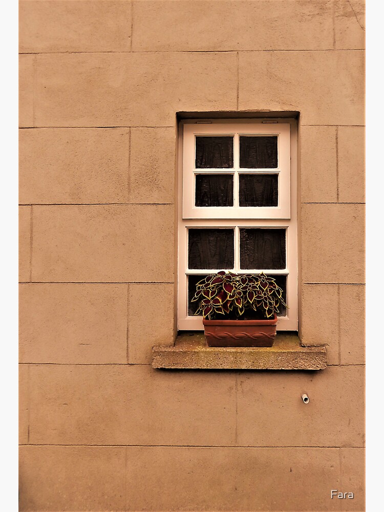 "An Old School Window" Sticker for Sale by Fara | Redbubble