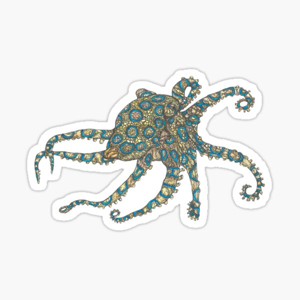 "Blue Ringed Octopus" Sticker for Sale by SerenSketches | Redbubble
