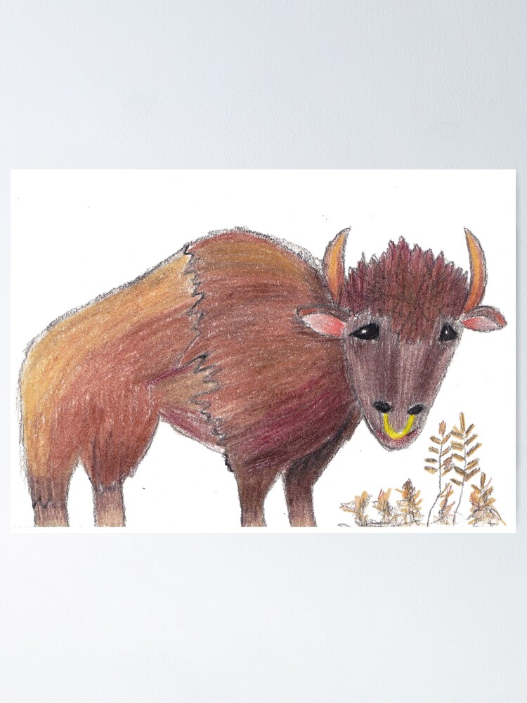 "B is for Buffalo" Poster for Sale by KerrinBowen | Redbubble