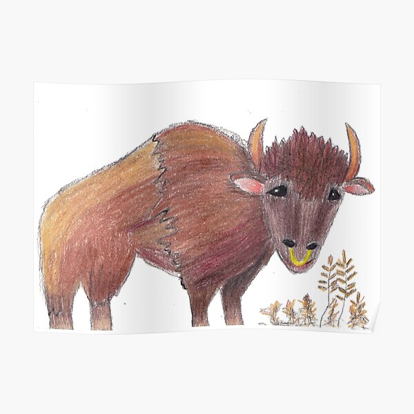 "B is for Buffalo" Poster for Sale by KerrinBowen | Redbubble