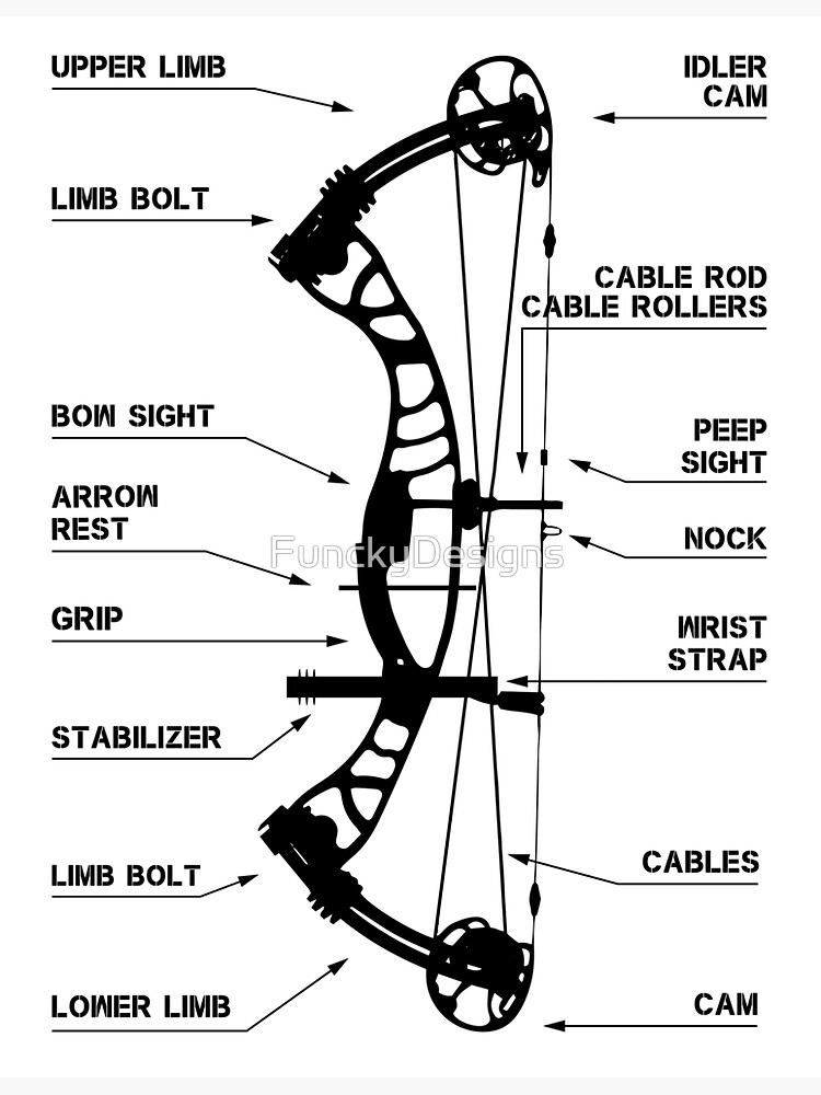 "Bow Archery Anatomy Chart - White Version" Sticker for Sale by ...