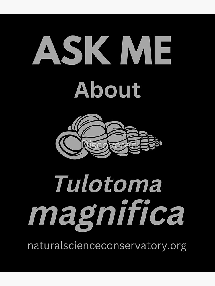 "Ask Me About Tulotoma magnifica (Tulotoma)" Poster for Sale by ...