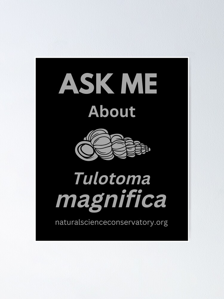 "Ask Me About Tulotoma magnifica (Tulotoma)" Poster for Sale by ...