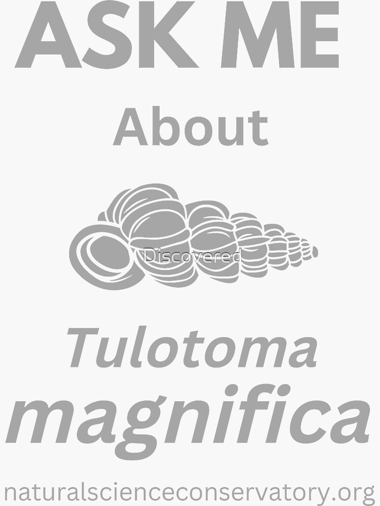 "Ask Me About Tulotoma magnifica (Tulotoma)" Sticker for Sale by ...