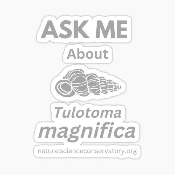 "Ask Me About Tulotoma magnifica (Tulotoma)" Sticker for Sale by ...