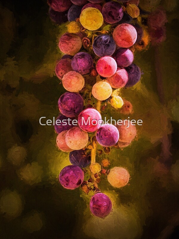 "Grape jewels" by Celeste Mookherjee | Redbubble