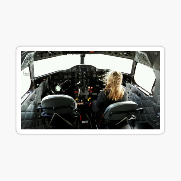 "Flight" Sticker by IrisForcier | Redbubble