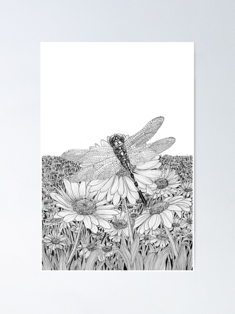 "Dragonfly and Daisy" Poster for Sale by ECMazur | Redbubble