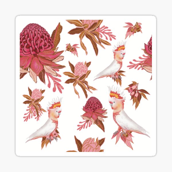 "Australian Native Birds and Flowers" Sticker for Sale by traceyart ...