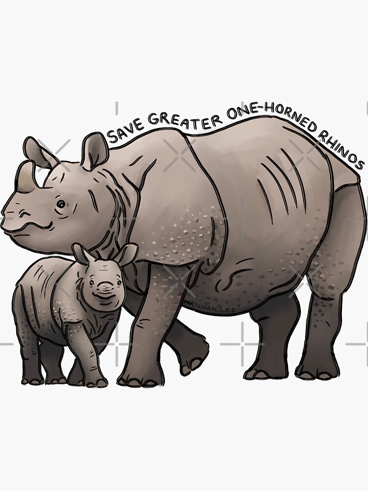 One Horned Javan Rhino