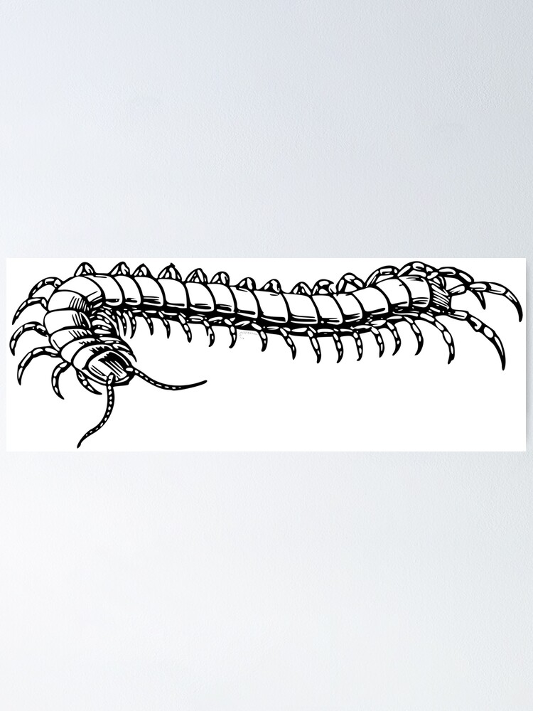"Centipede" Poster for Sale by wikieupzep | Redbubble
