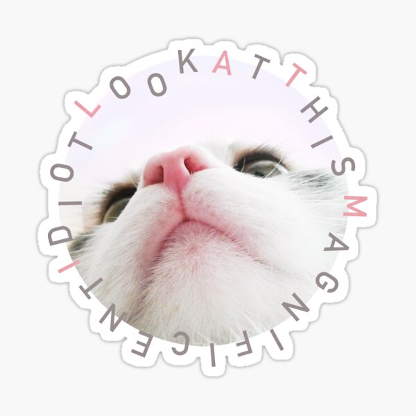 "magnificent cat" Sticker for Sale by weirdove | Redbubble