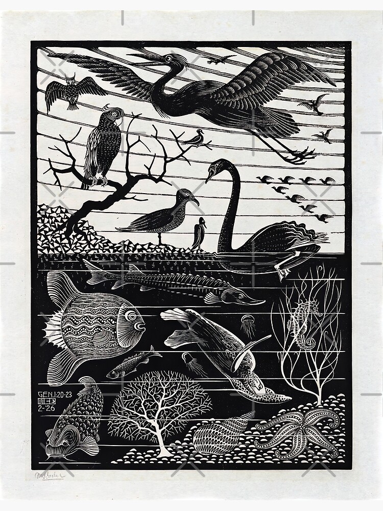 Póster «Escher - El Quinto Día de la Creación» de Pikokk | Redbubble