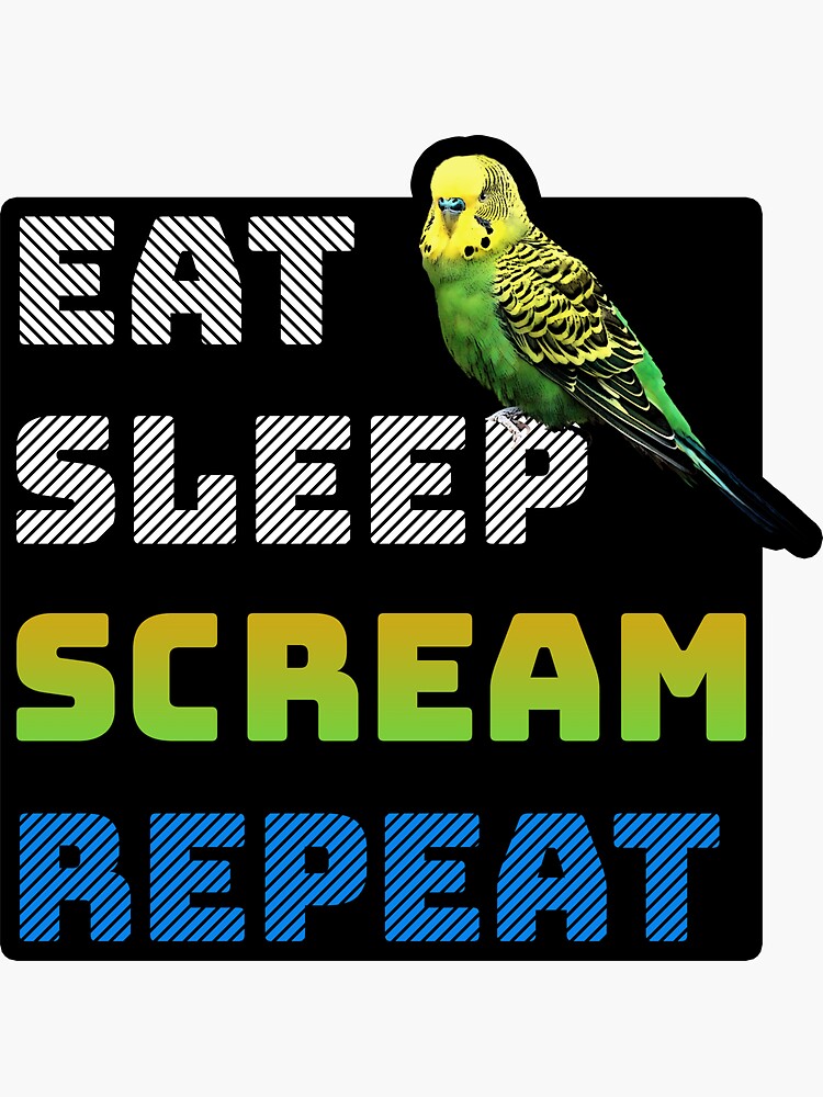 "Eat Sleep Scream Repeat Budgie" Sticker for Sale by Alienphysique ...
