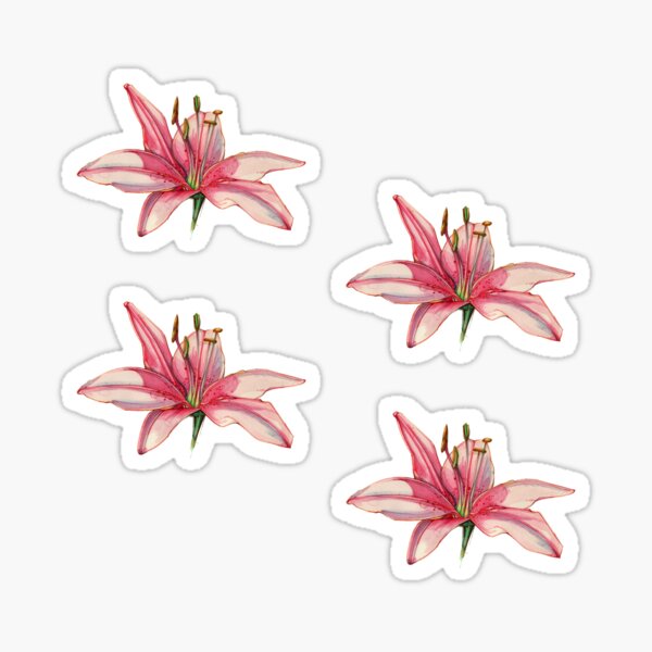 "Four Pink Lilies" Sticker for Sale by GhostlyNature | Redbubble