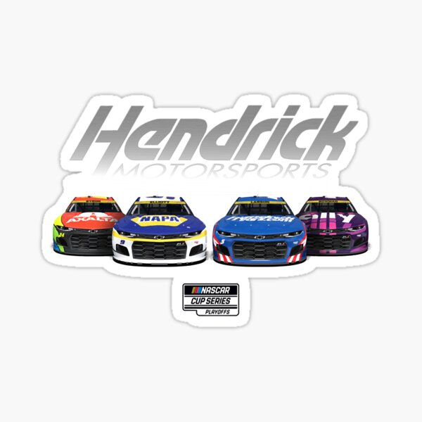 "Animal National Automobile Nascar Racing Association Gift Christmas ...