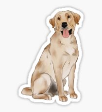 Labrador Stickers | Redbubble